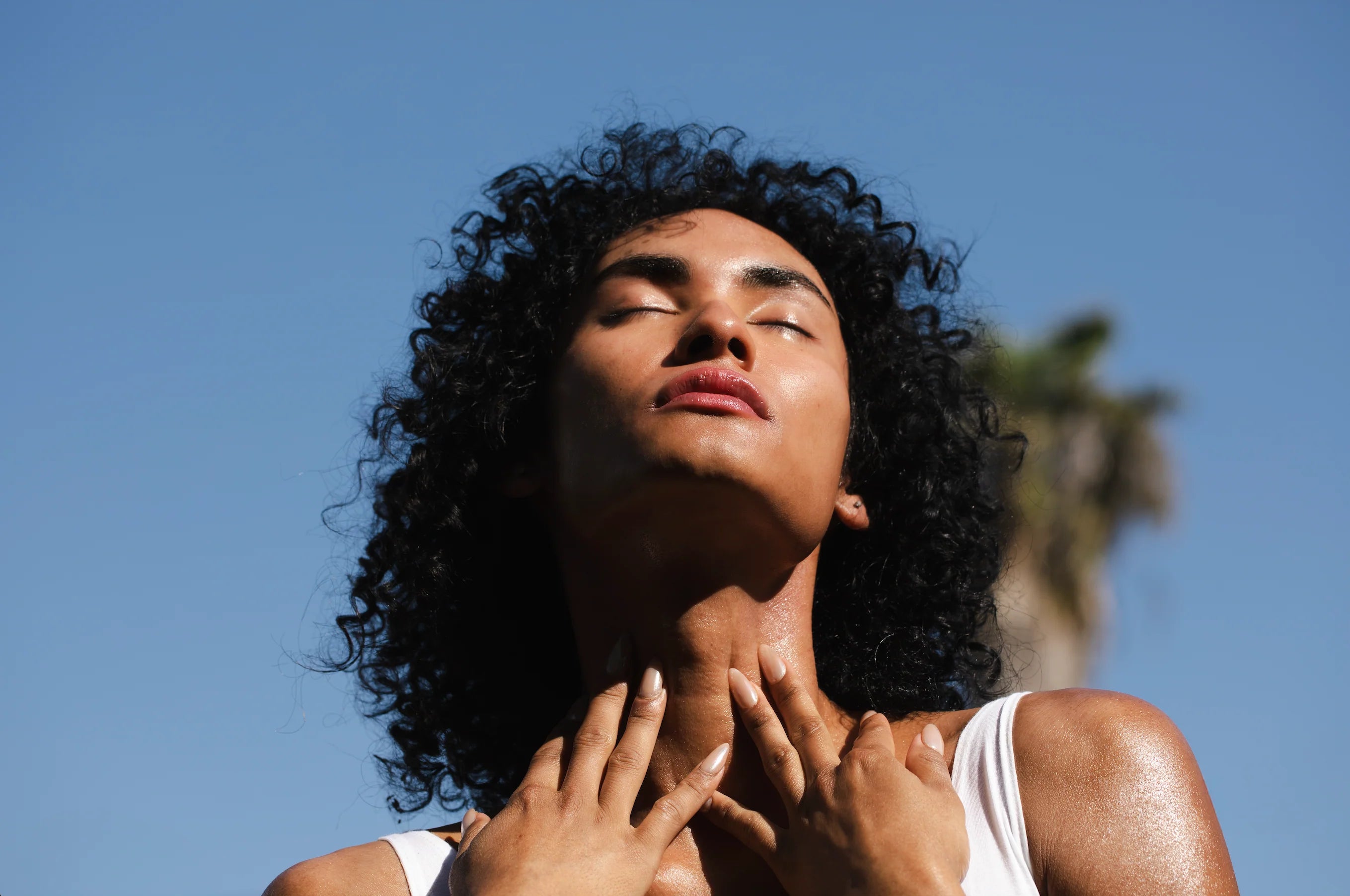 The System – MILO Multifunctional